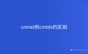 cmnet和cmtds的区别 – PingCode