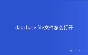 data base file文件怎么打开 – PingCode