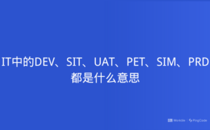 IT中的DEV、SIT、UAT、PET、SIM、PRD都是什么意思 – PingCode