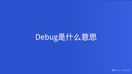 Debug是什么意思 – PingCode