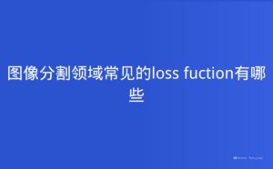 图像分割领域常见的loss function有哪些 – PingCode