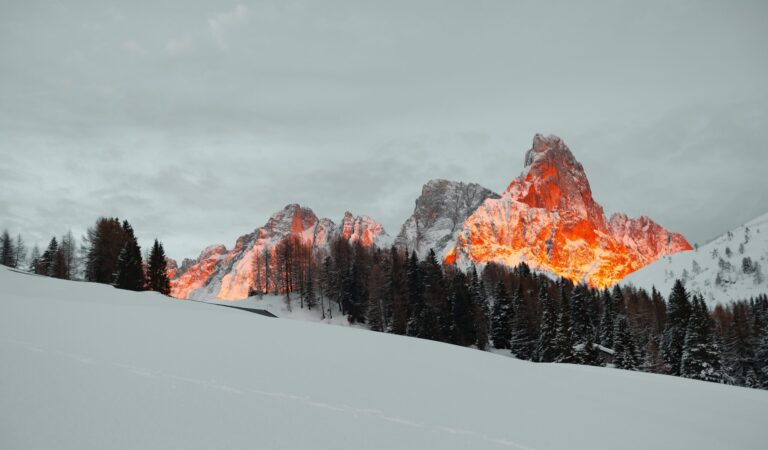 PingCode – PingCode